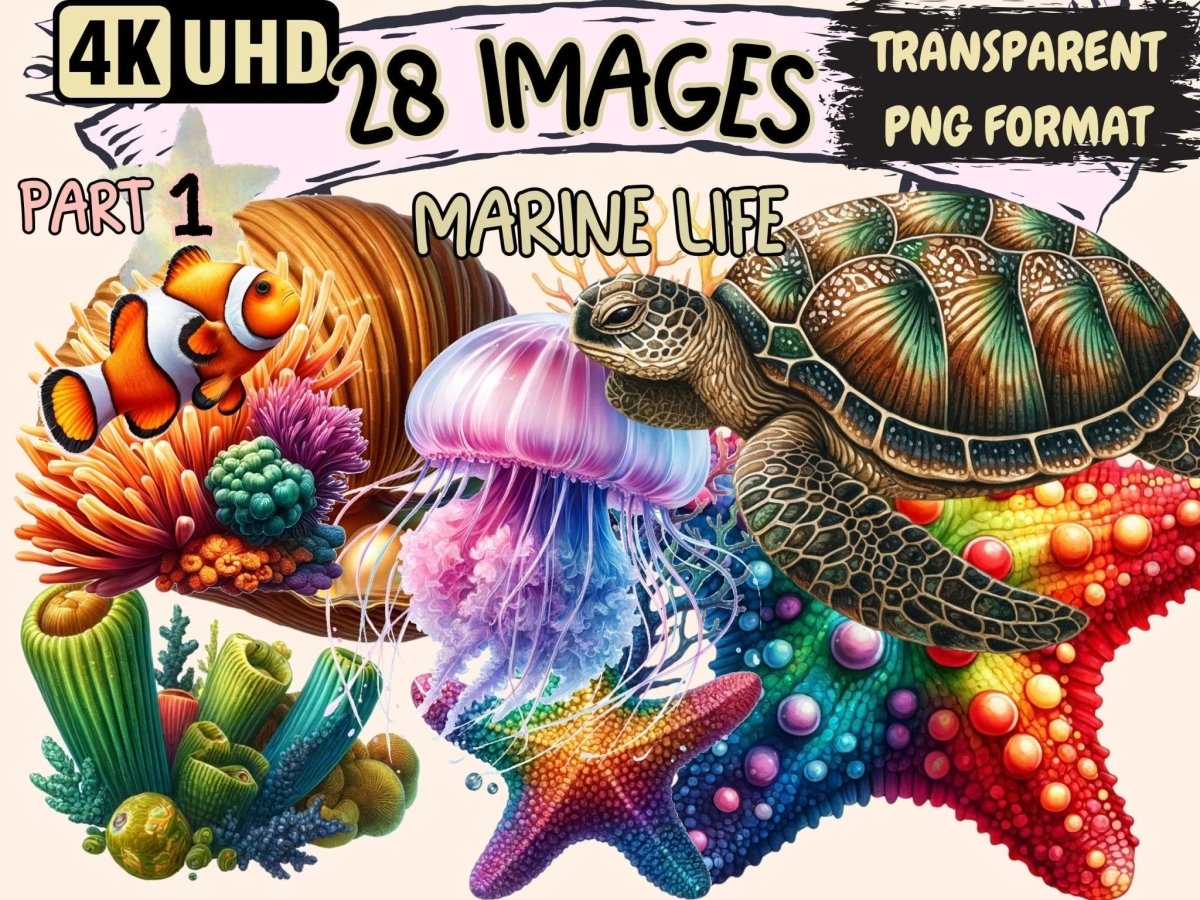Marine Life Clipart